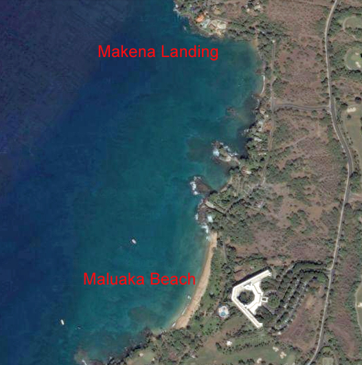 South Maui Snorkeling – Makena Landing, AKA Turtle Town! | Welcome to Maui